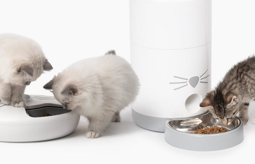 Catit USA – Catit USA - Official Catit Brand Store