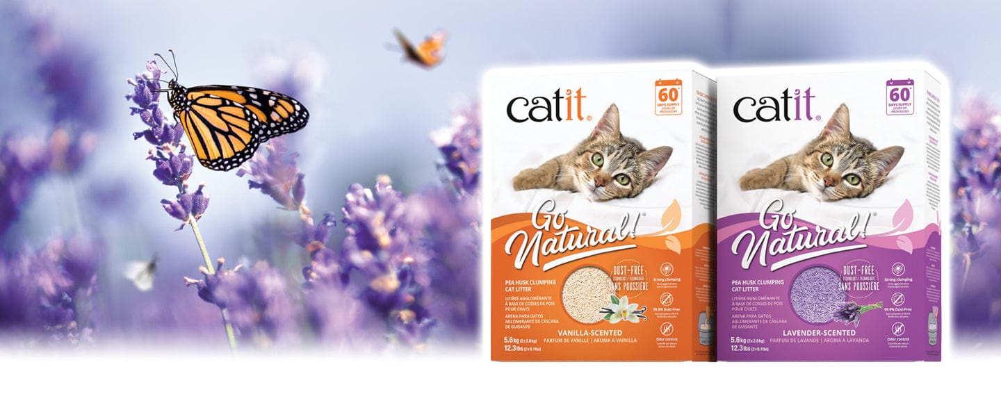 Catit USA – Catit USA - Official Catit Brand Store