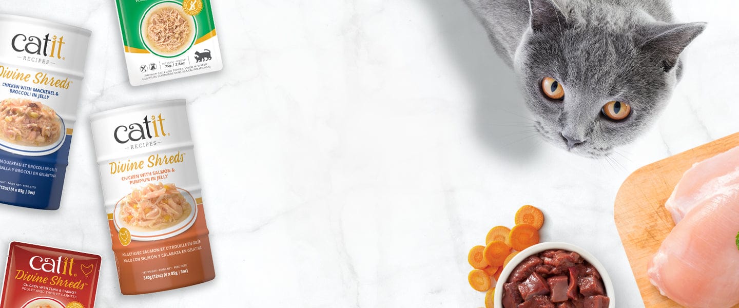 Catit USA – Catit USA - Official Catit Brand Store